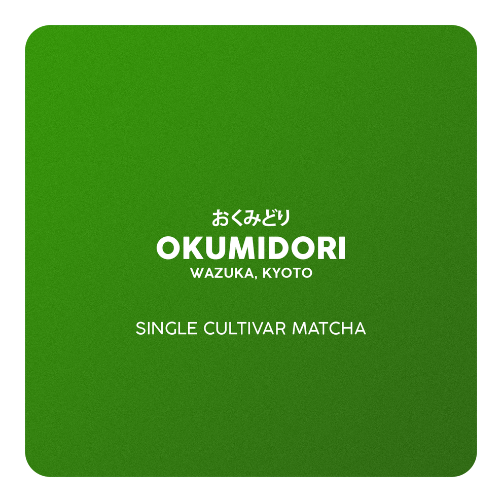 OKUMIDORI - Single Cultivar Matcha – matchanese
